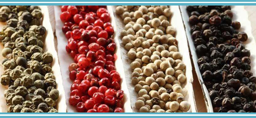 Cremosa Salsa a la Pimienta Thermomix - Receta de la abuela